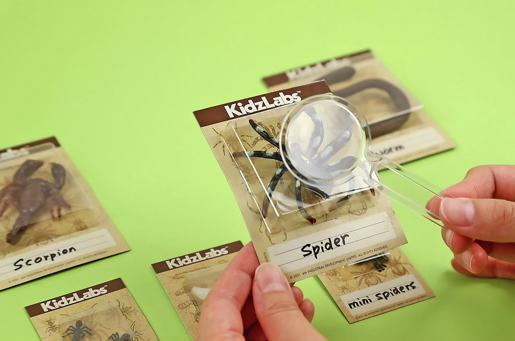 KidzLabs Excavación de Insectos · 4M